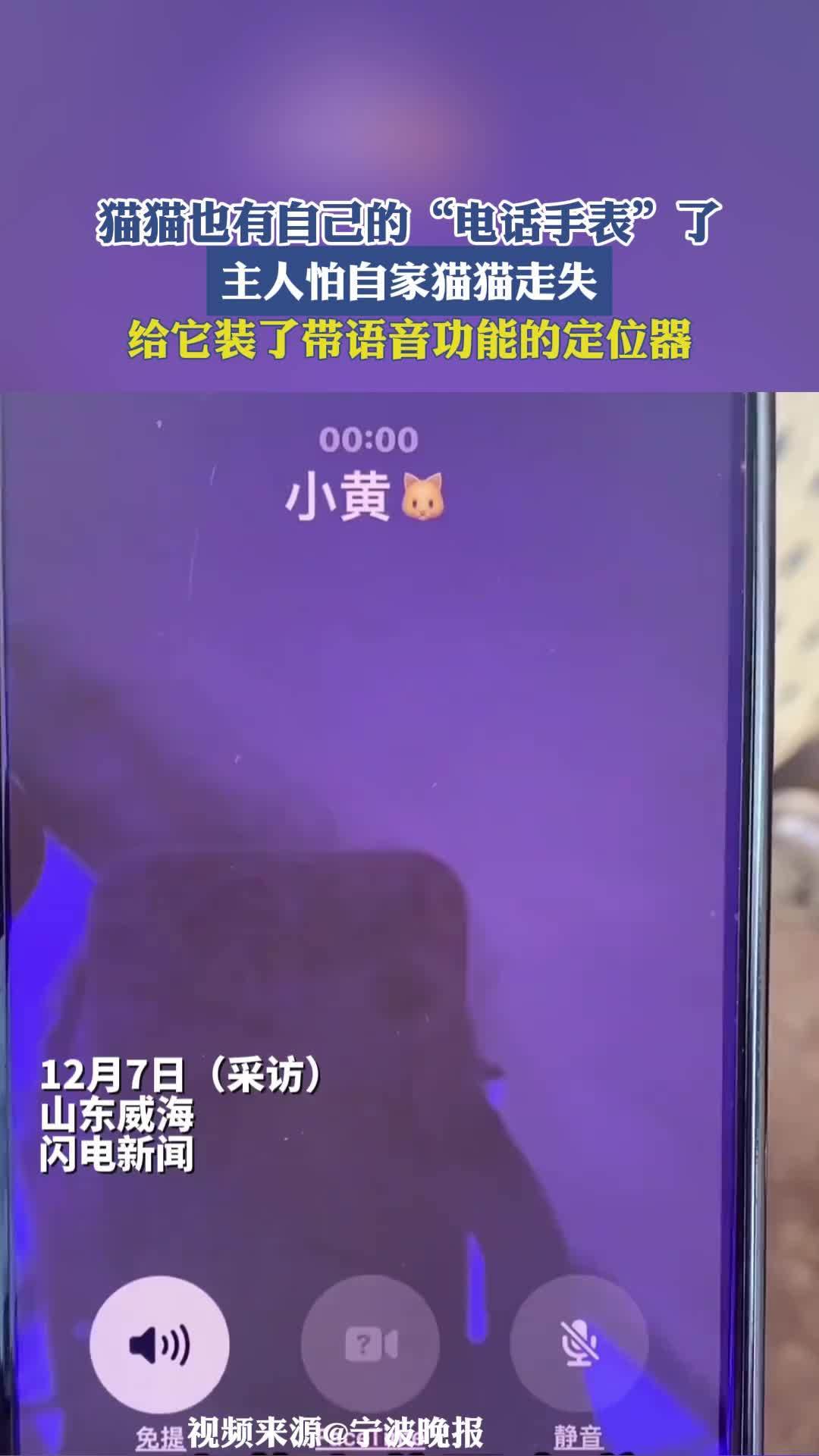 猫猫也有自己的"电话手表"了,给它装了带语音功能的定位器
