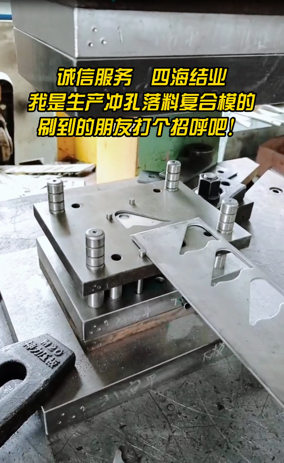 冲孔模厂家为您展示冲孔落料复合模,如有需要,欢迎咨询