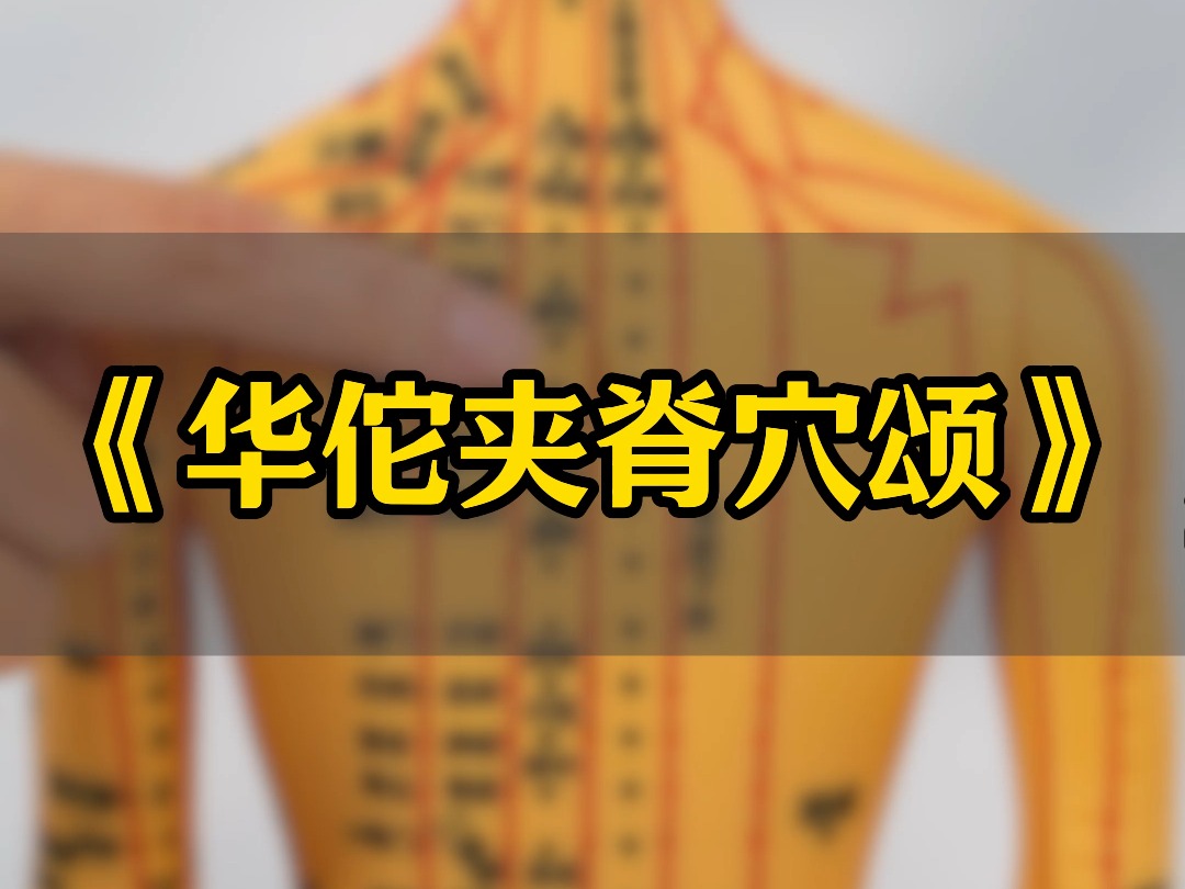 一分钟搞懂华佗夹脊穴