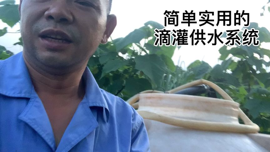 最简单实用的滴灌系统