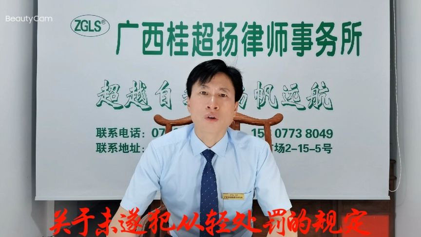 关于未遂犯从轻处罚的规定