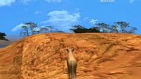 《模拟动物人生2》狮子生崽过程