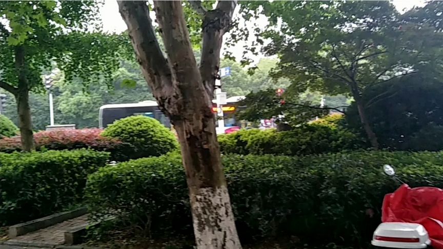 单位采购又出新招?三方报价,价低者得订单。难为我们供应商呀!