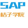 墨曦文化SAP学习 