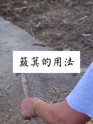 簸箕的用法