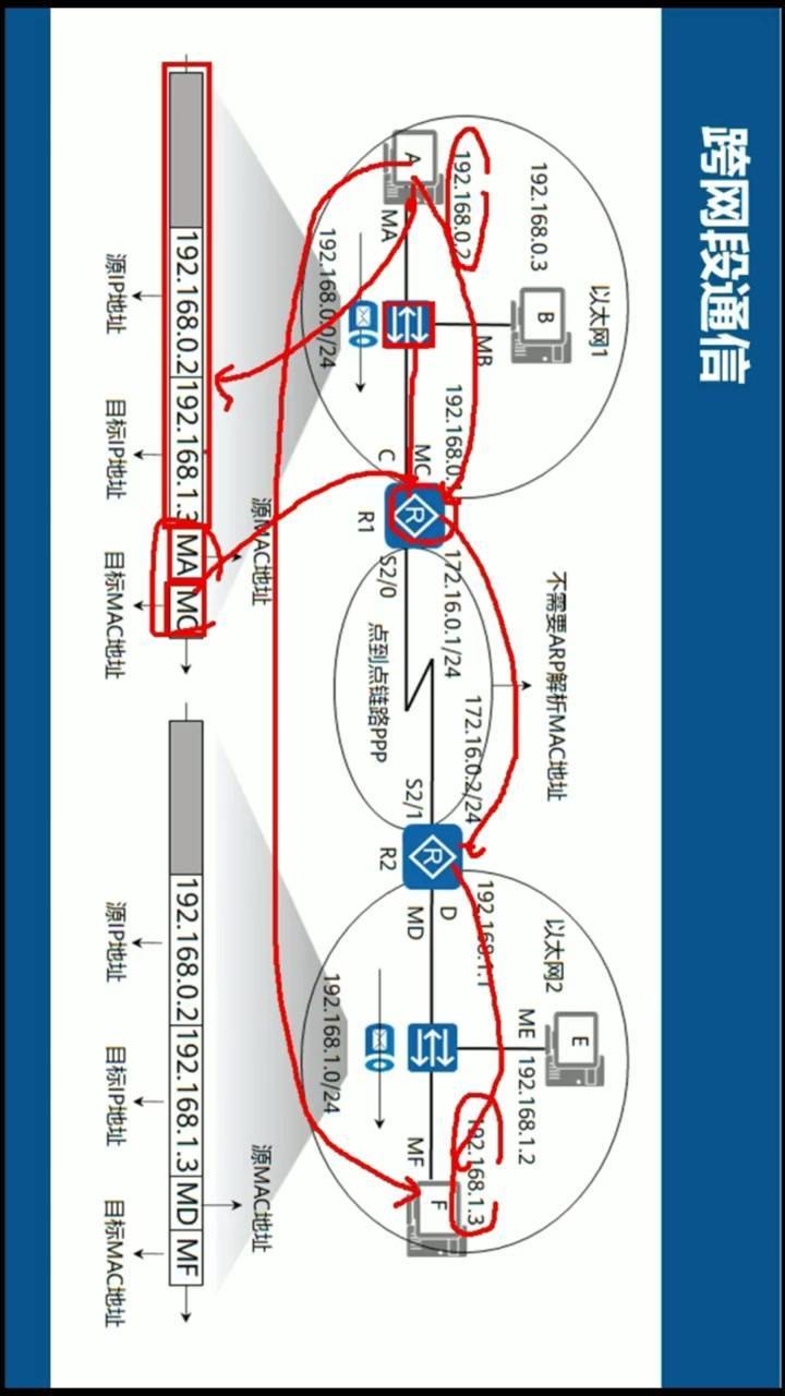 IP地址和MAC地址