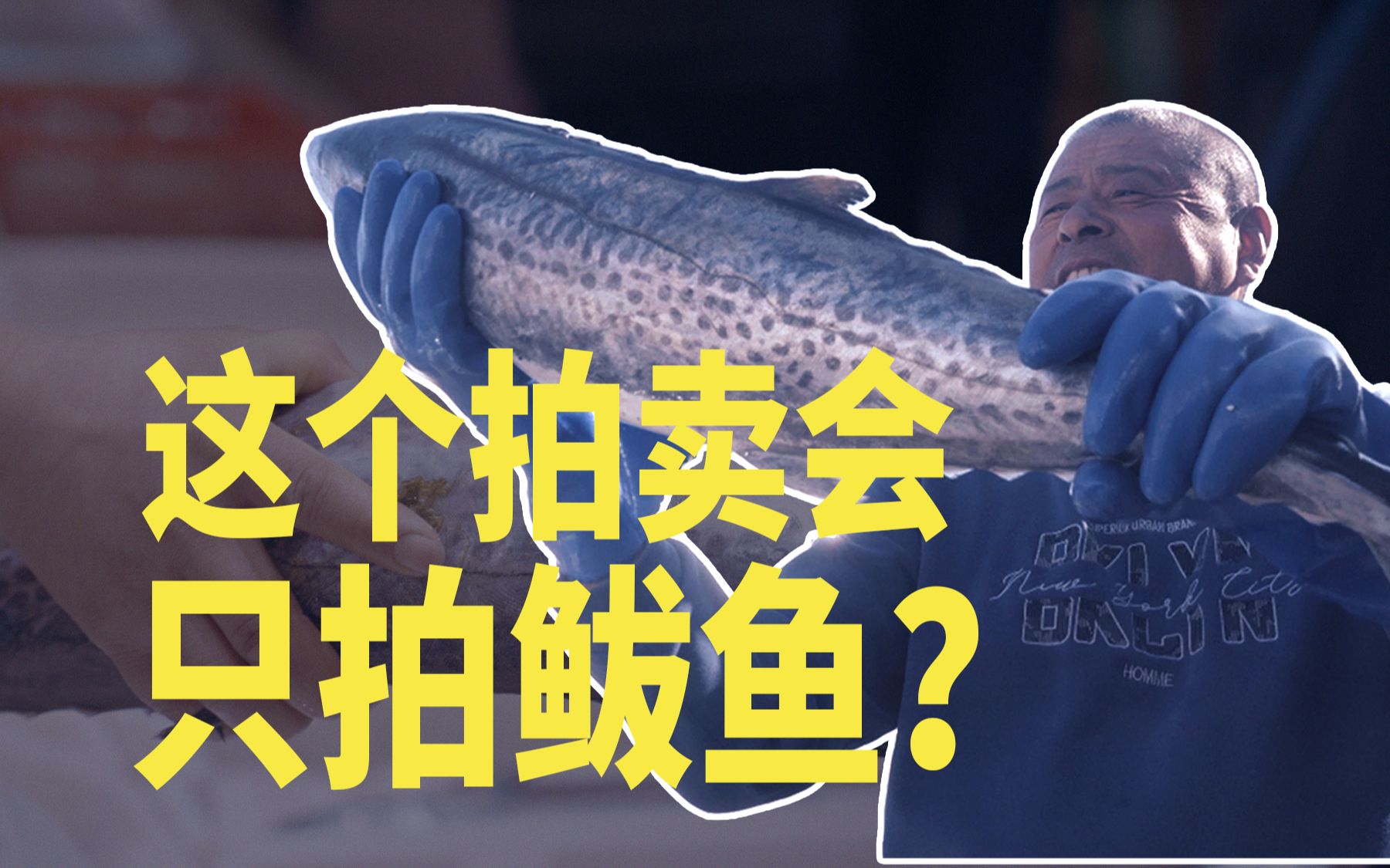 竟然还有专门抢鲅鱼的拍卖会?