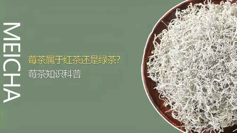 莓茶属于红茶还是绿茶?