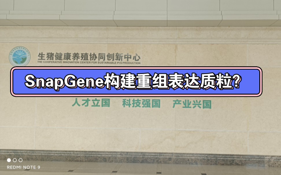 使用Snapgene软件构建重组表达质粒