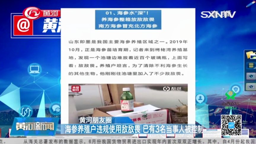 山东即墨海参养殖户违规使用敌敌畏,已有3名当事人被控制!
