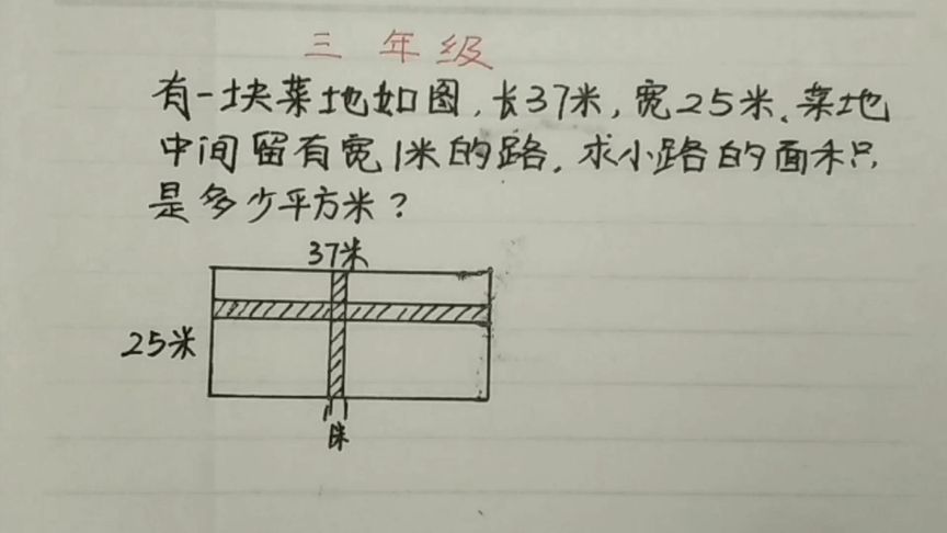 三年级面积 求小路的面积是多少,愁坏了孩子们