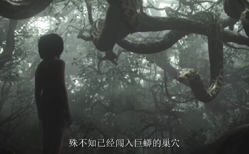 人类孤儿如何逆袭成森林之王?这冒险你敢信?