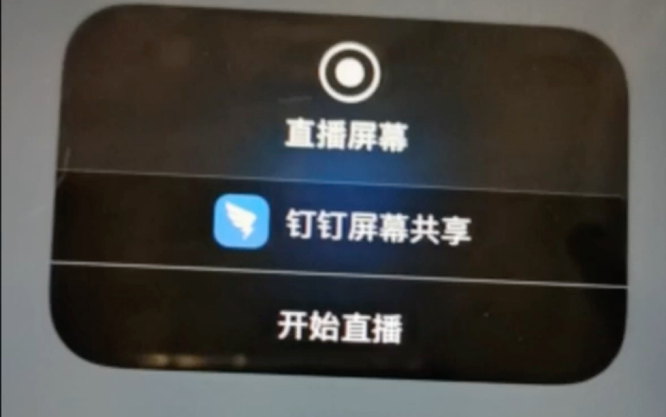 用iPad pro 在钉钉视频会议中共享屏幕授课的演示