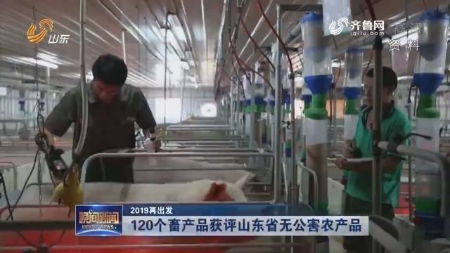 山东畜牧兽医局:经认定暂行办法,120个畜产品获评省无公害农产品