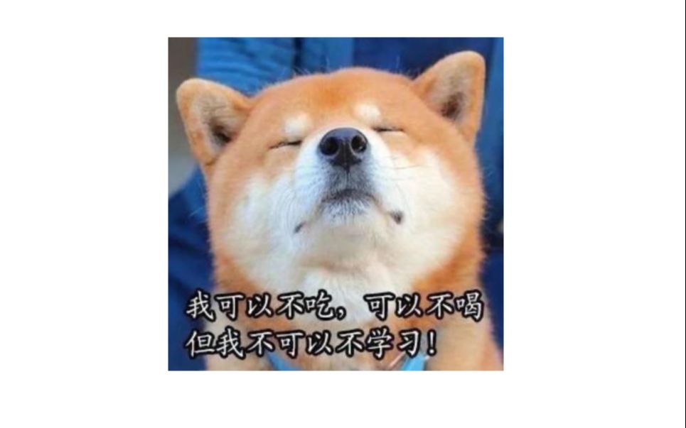 【蒋老师侃物理】测量平均速度