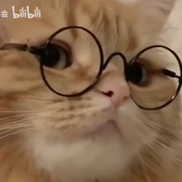 bobo君是个伪君子 