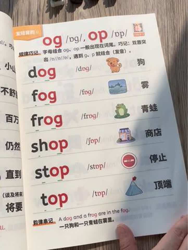 英语初学者用#自然拼读 学习字母及组合的发音规则,见词能读,轻松#背.