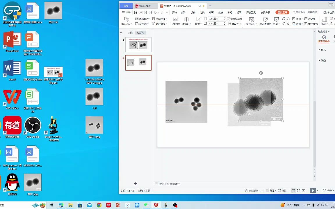 如何用ImageJ对图片局部放大并添加scale bar?