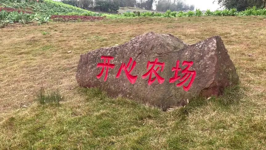 开心农场现实版,可以种植、采摘,体验真正的乡村田园生活