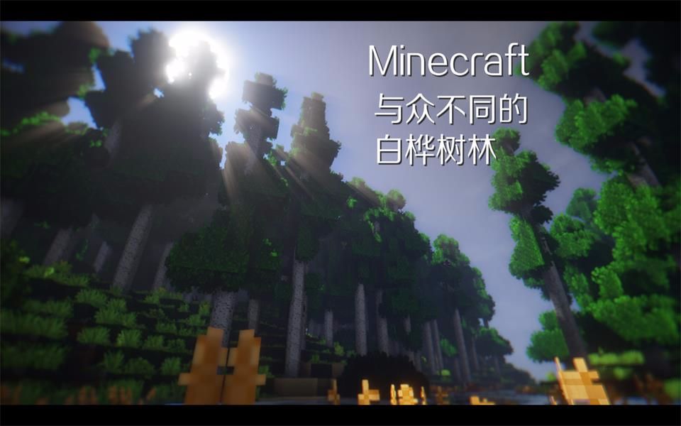 【我的世界】超美光影世界 - 这么美又真实的白桦树林你见过吗