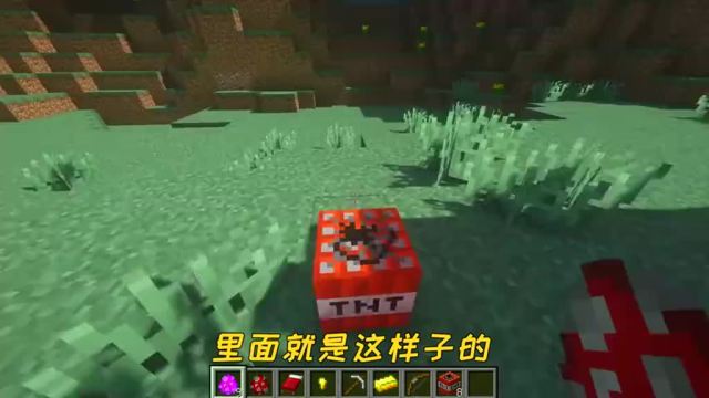 我的世界命令TNT里面竟住着苦力怕,终于知道.