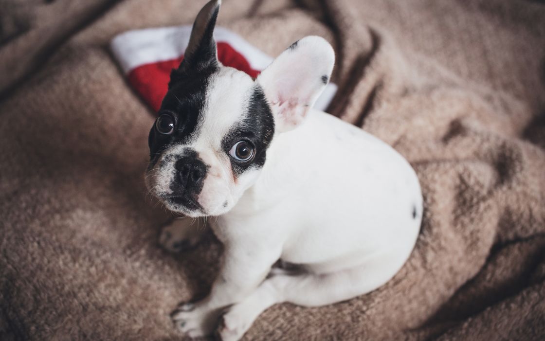 每天做几个深蹲起,才能提高男人能力?