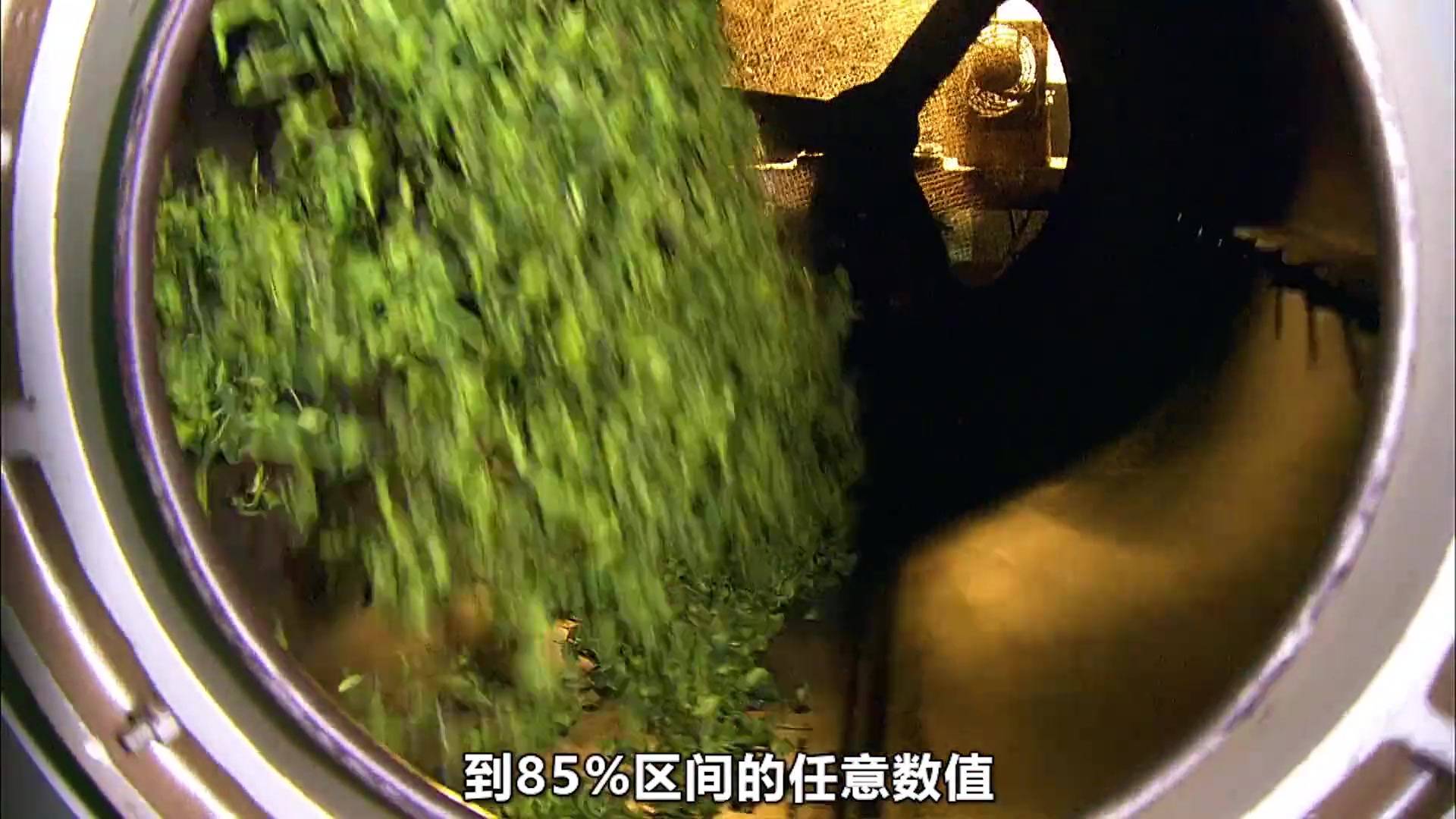 介于红茶和绿茶之间的一种茶