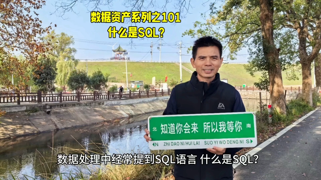 数据资产系列之101:什么是数据SQL?#数字经济#数字人民币#励志#...