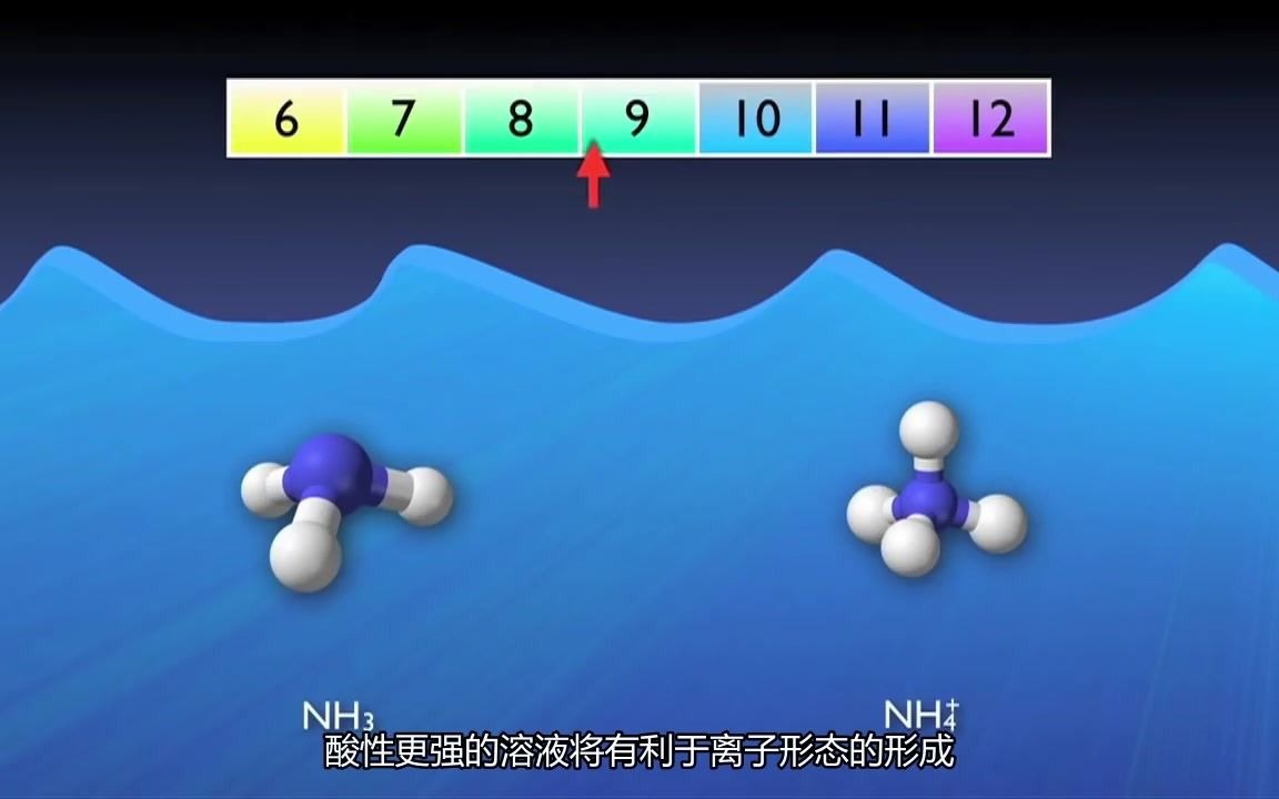 污水处理中的氮去除机理讲解视频