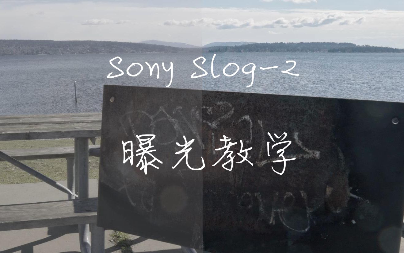 索尼Slog-2 正确曝光实用教学 | 斑马线设置 | 索尼微单
