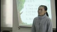 四年级语文《麻雀》(小学语文优秀课例教学实录及课后点评)
