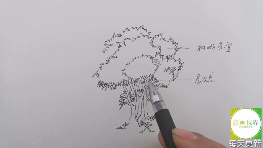 速写入门知识:植物灌木画法讲解,简单易学,原来画画这么有趣!