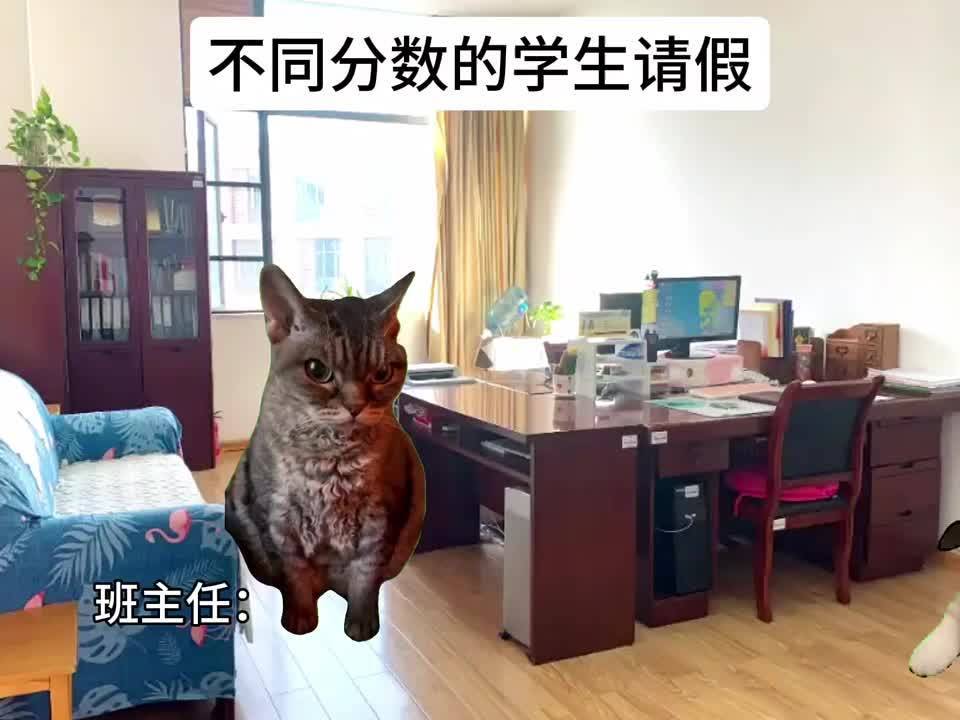 不同分数的学生请假
