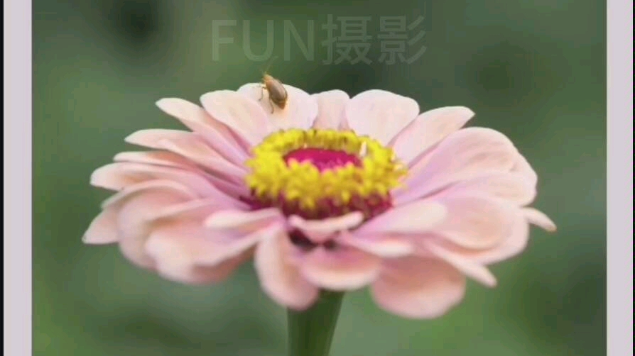 snapseed手机修图教程,暗沉图片修出清新阳光感