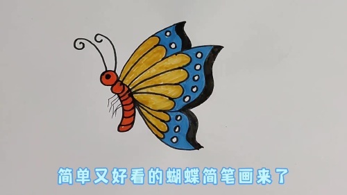 蝴蝶怎么画好看又仙气?简单好看的蝴蝶简笔画来了,一起来试试吧