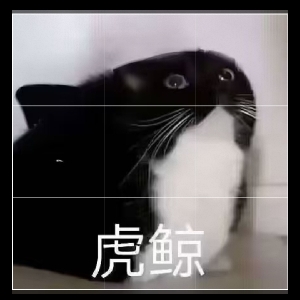 初高数学郑老师 