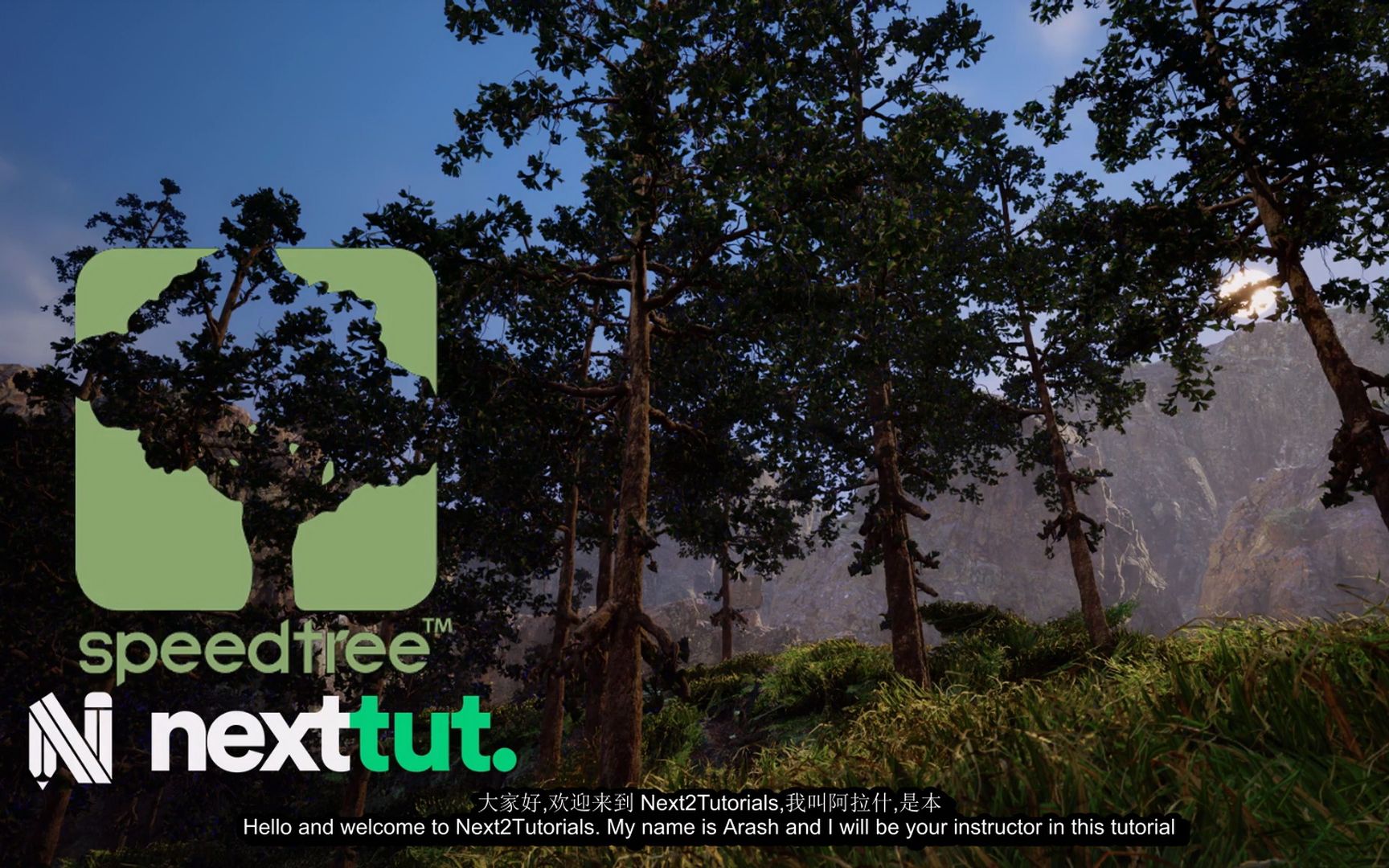 [FLIPPED NORMALS学院-国语]SpeedTree系统教程2022