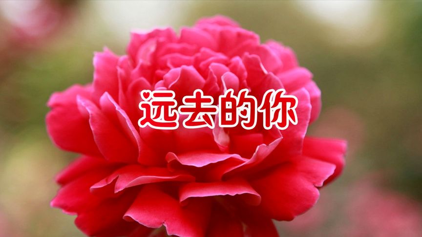 新歌!一首《远去的你》看着你的背影消失在远方,只能把爱藏心里