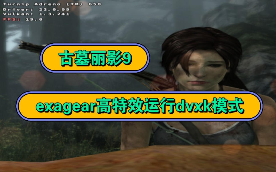 ...模式运行,分辨率:1024x768:特效:高特效:win版本:win8.2 d3d:dxvk2.0