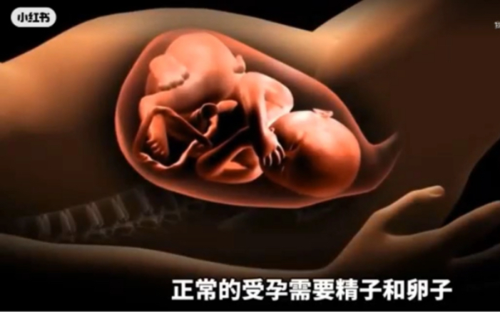 带您了解试管婴儿全过程,看完你就懂了,太神奇了!