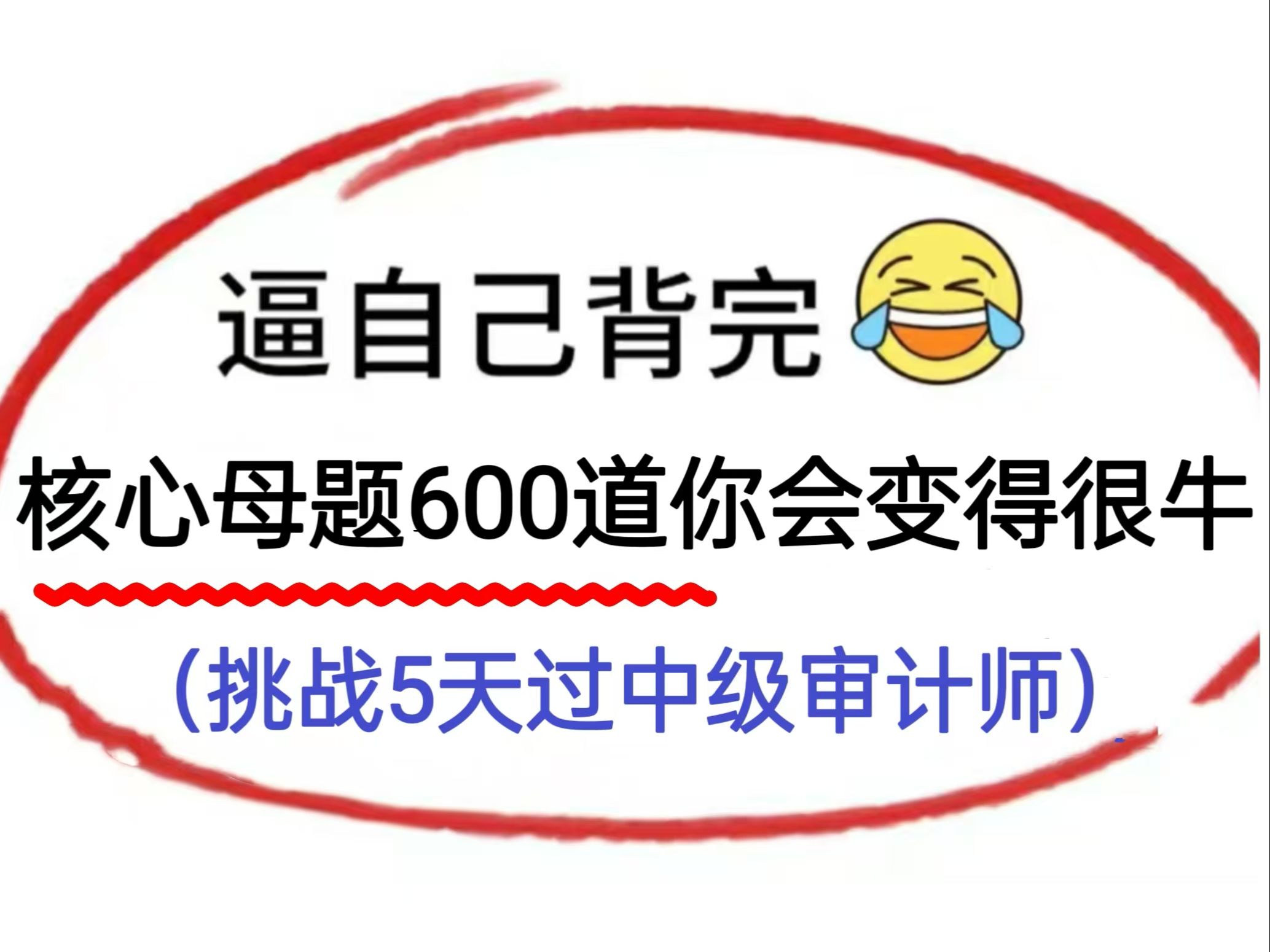 24中级审计师考试,逼自己背完核心母题600道你会变得很牛,挑战5天过...