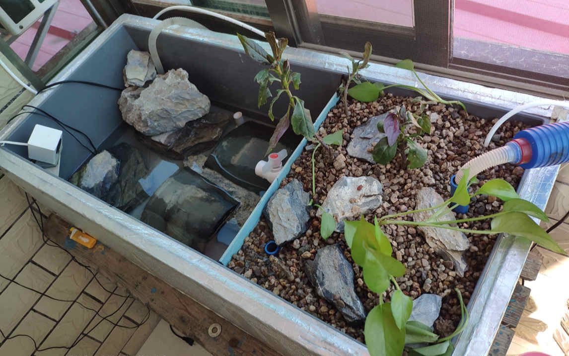 低成本小型沼泽过滤池制作过程