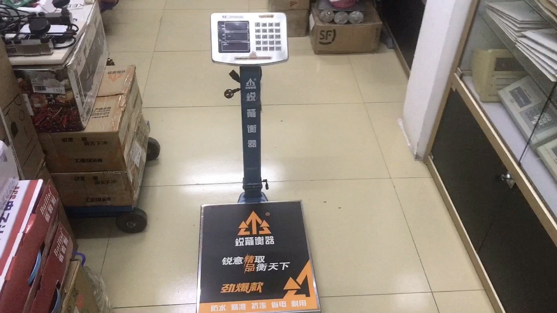 TCS-300型电子台秤(01)