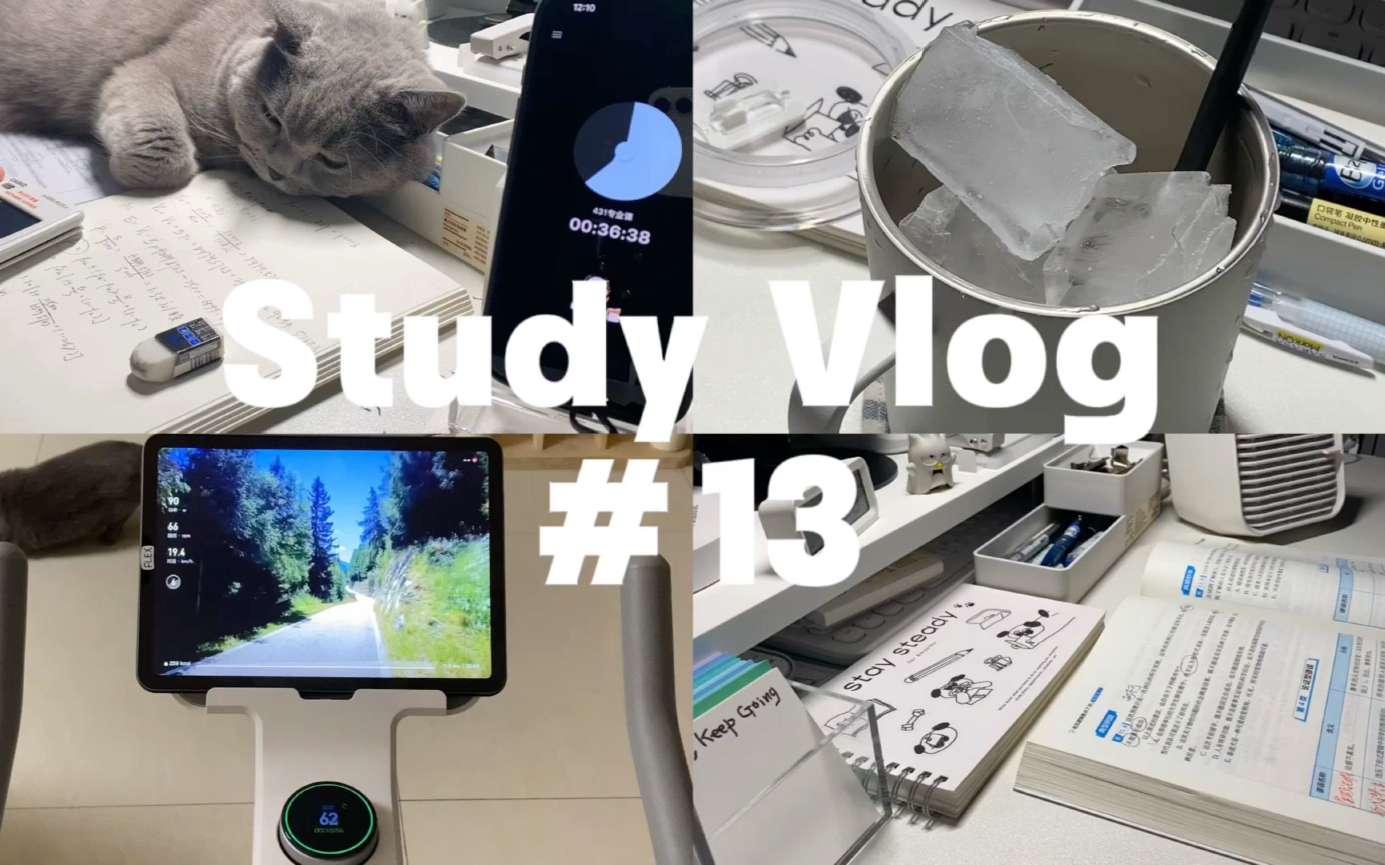 Ep.13/考研二战冲刺阶段备考14h学习vlog/置身的日子都发亮
