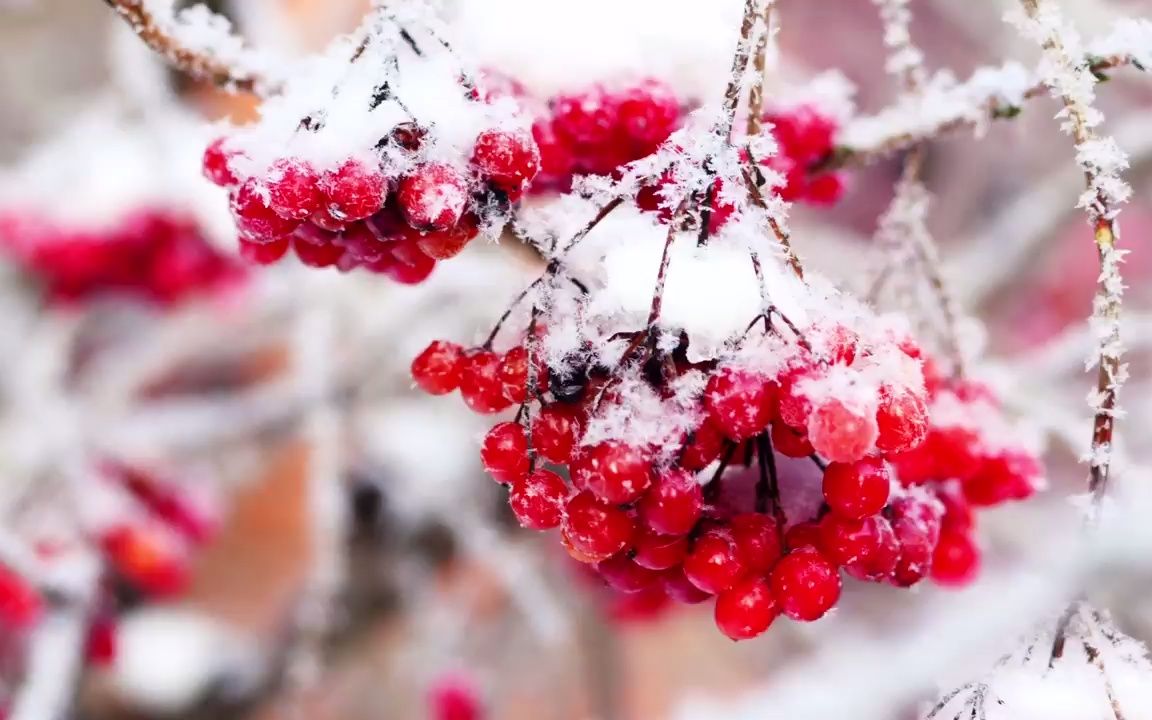 ...树枝挂满雪花冬天冬季诗朗诵童话世界幼儿园小学高中毕业晚会歌舞...