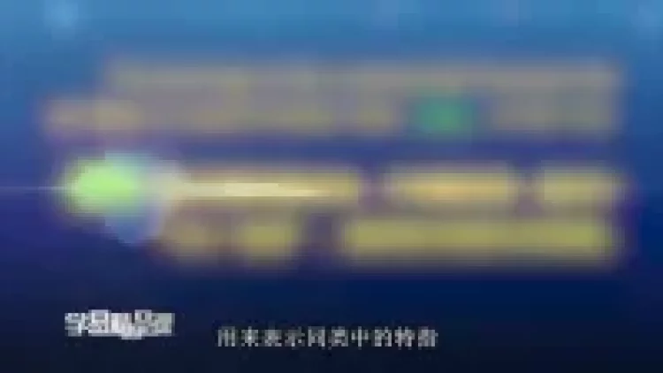 词法 代词 第3讲 it用作人称代词