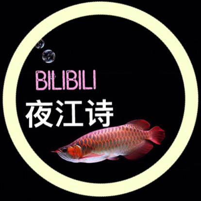 夜江诗 