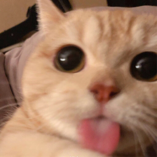 Jet裴 