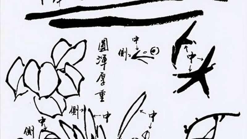 国画中的以线造型怎么用笔从中锋到侧锋图解教你画,初学者必学