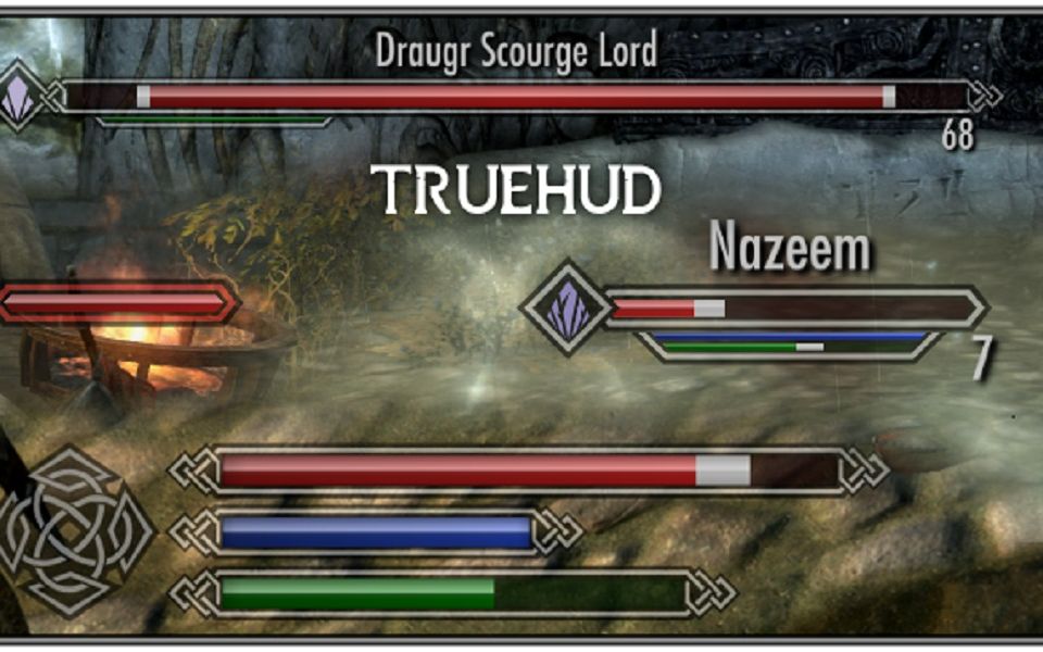 上古卷轴5 功能模组 真实的HUD